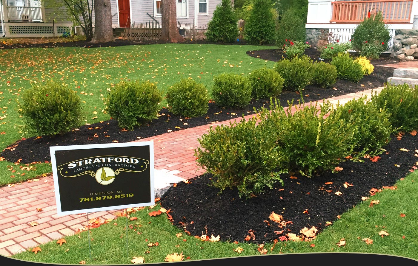 Stratford Landscaping | Landscape Maintenance | Lexington MA